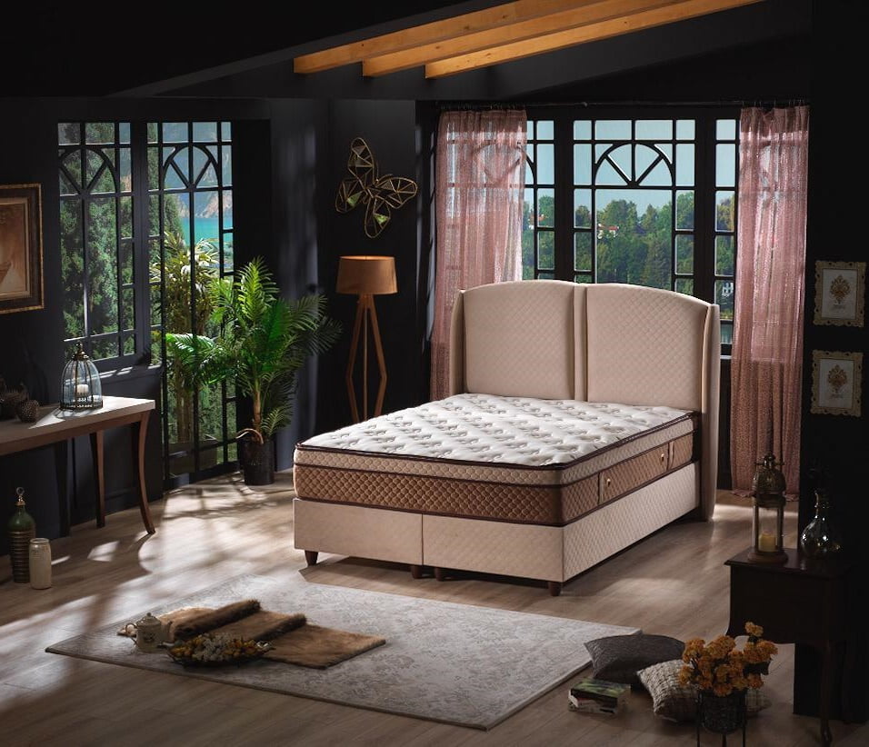 Pat Pinky - Modena.ro