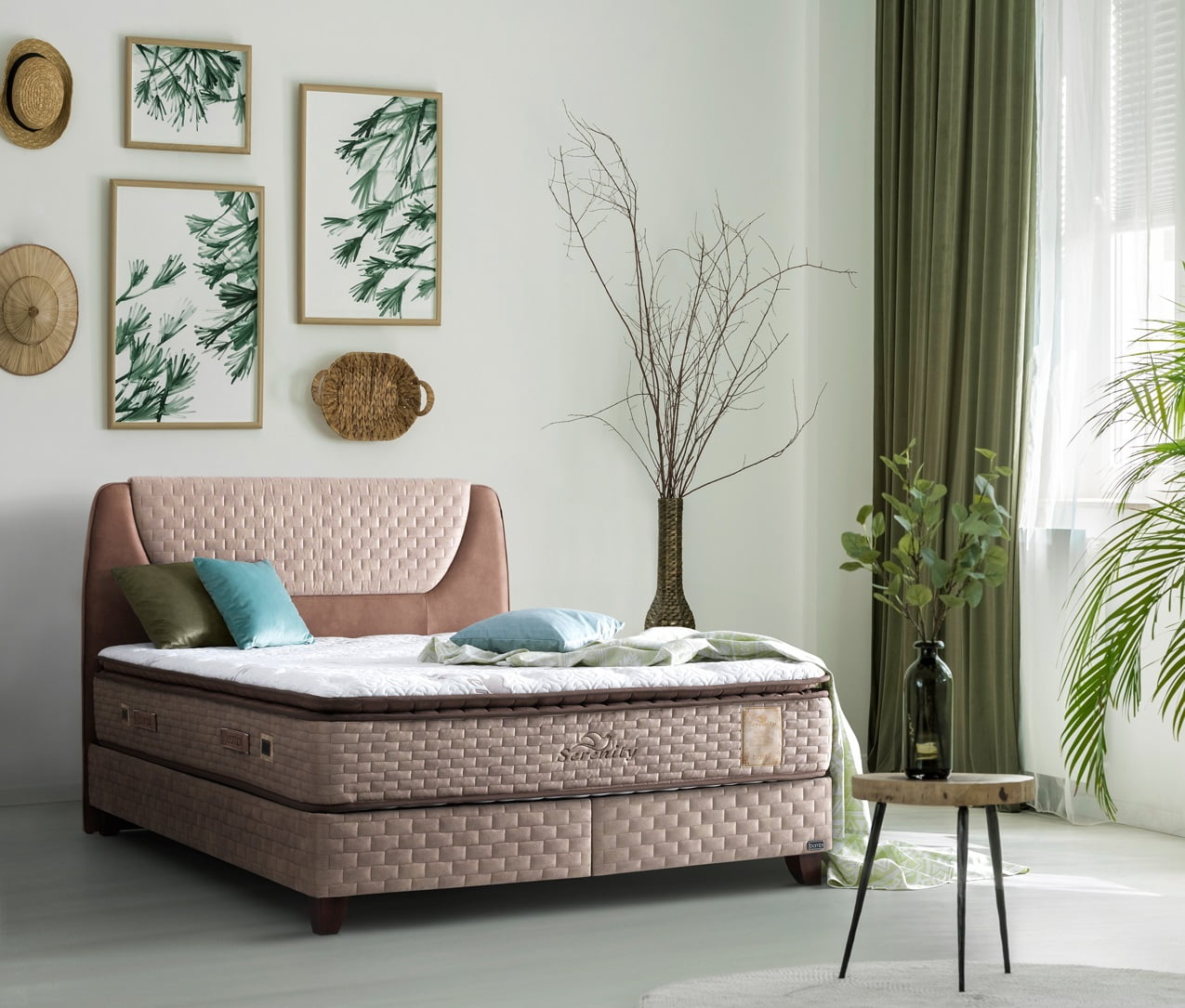 Pat Bella - Modena.ro